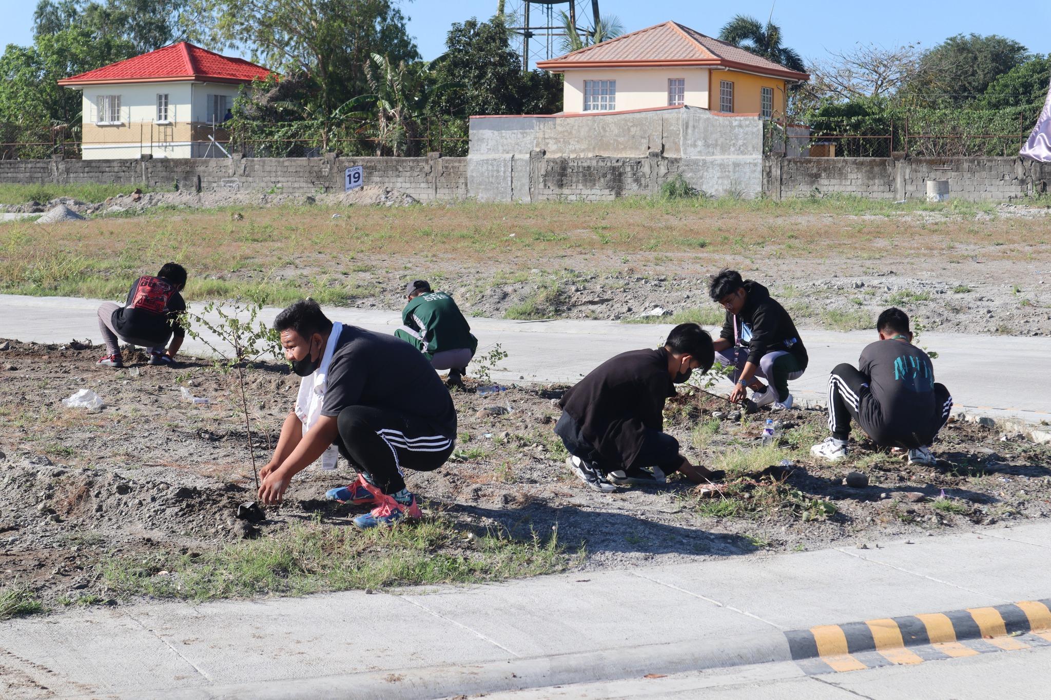 balacat trees 3 – Arlin Salonga | CLTV36
