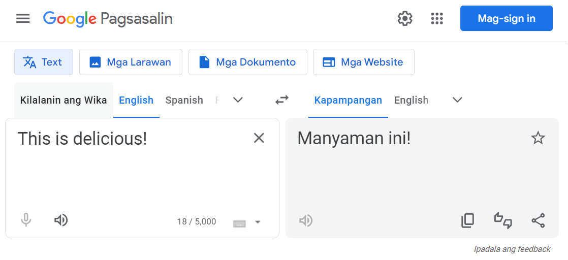 Google Translate adds 110 new languages including Kapampangan, Bikol ...