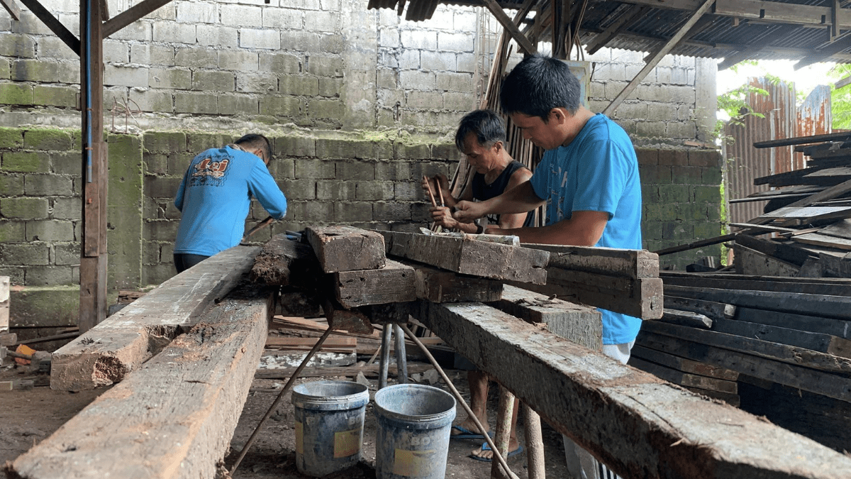 Lumang kahoy: bagong buhay at kabuhayan