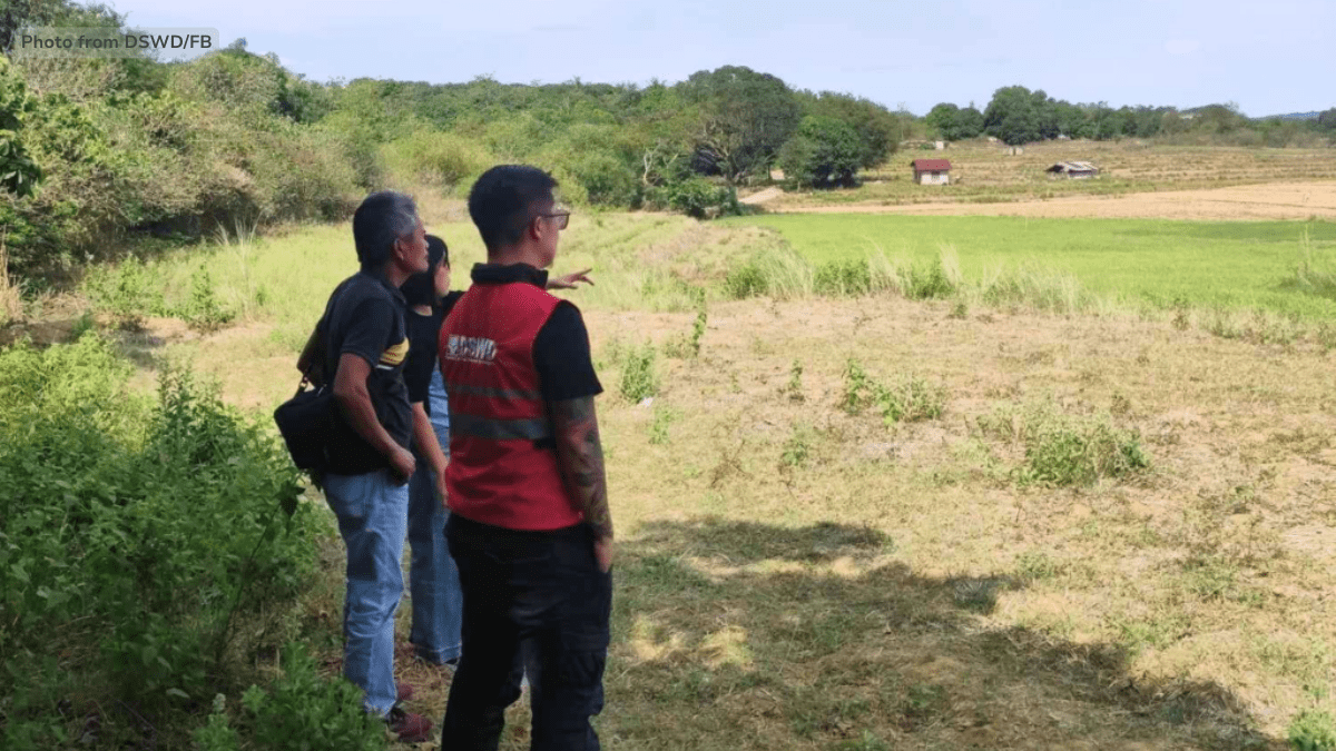 Project LAWA at BINHI ng DSWD, nominado sa UN Disaster Risk Reduction Award