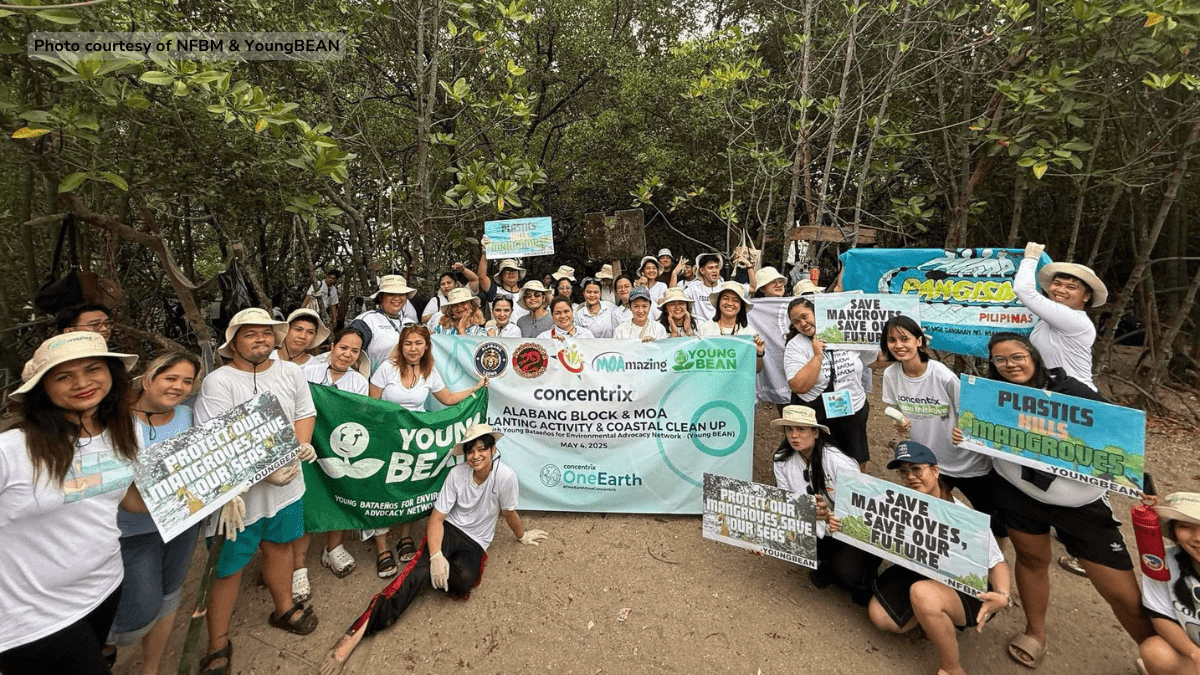 More than 200 young people launched mangroves planting and clean up ...