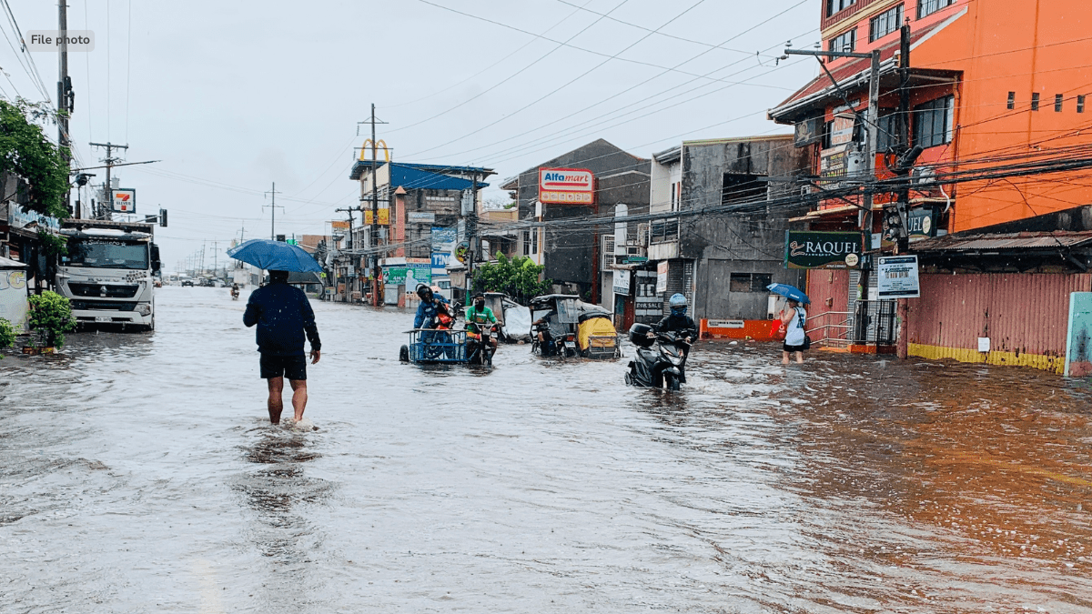Rapid test kit para sa leptospirosis at schistosomiasis, binuo ng CLSU ...