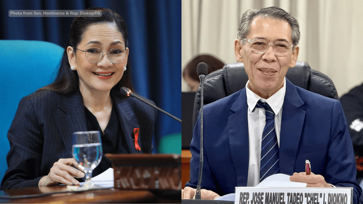 Ban contractors, political dynasties: Hontiveros, Akbayan move to end ...